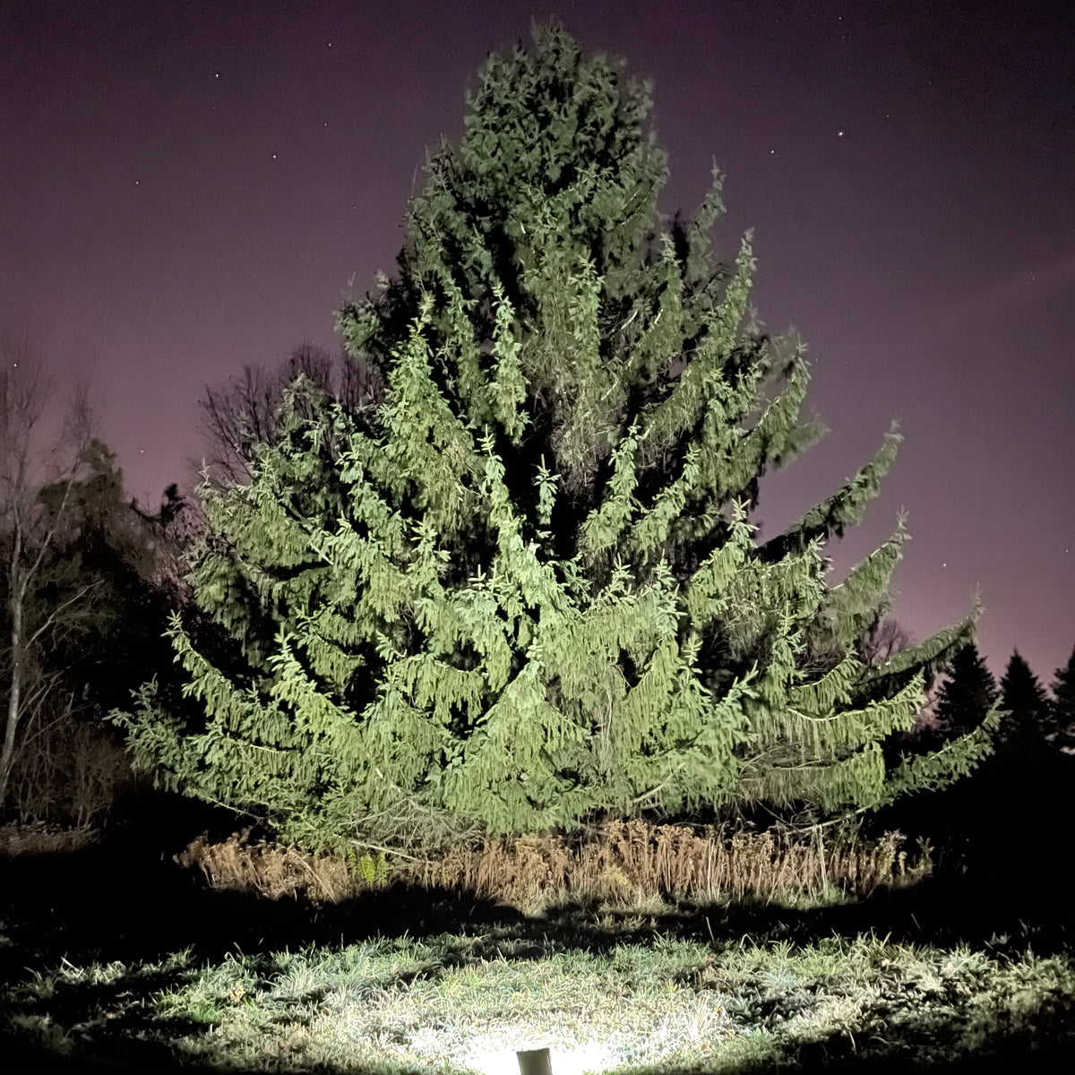 Solar Flood Billboard Light 20W 150W - Illumination Alley